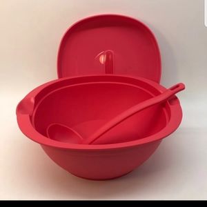Tupperware | Dining | Tupperware Gorgeous Pink Set | Poshmark